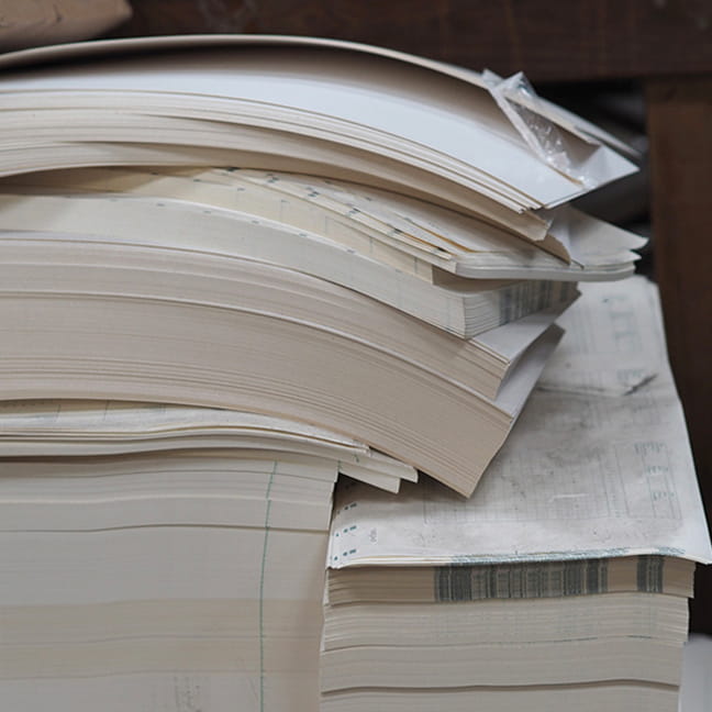 Accueil - Season Paper